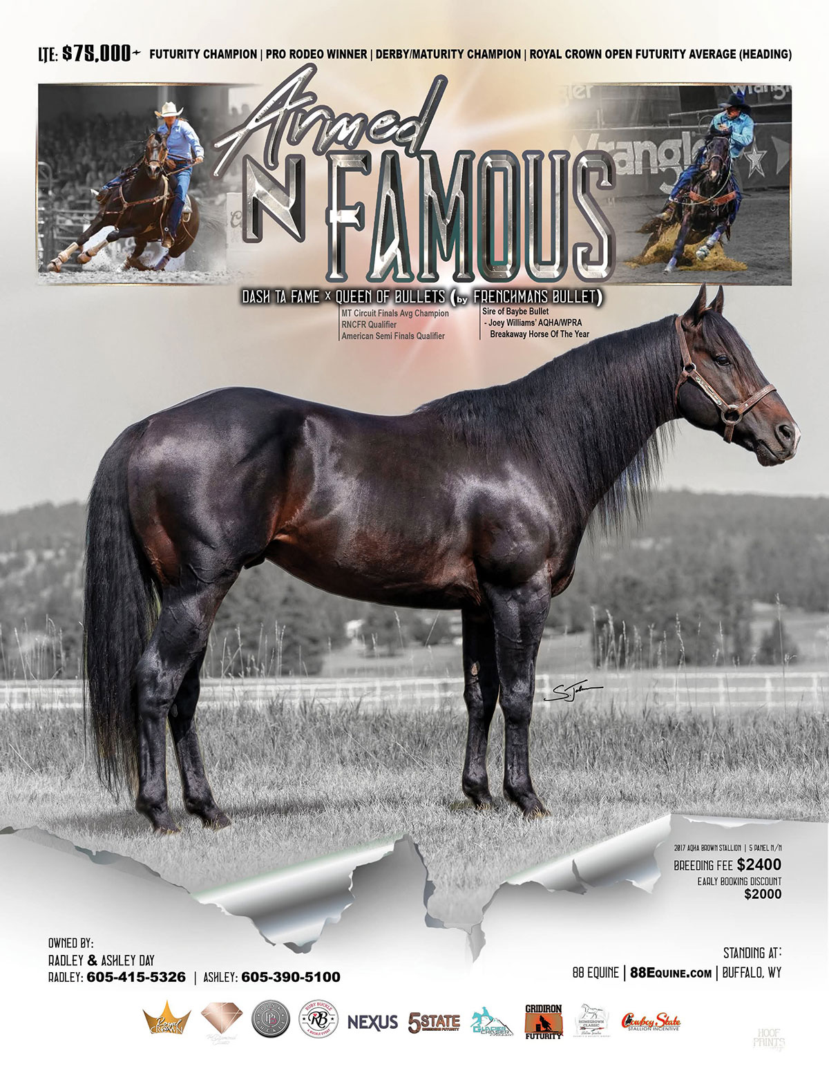 Armed N Famous | AQHA Stallion Standing At Copper Ridge Equine Sports ...
